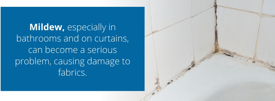 Ways to Reduce Humidity in Your Home