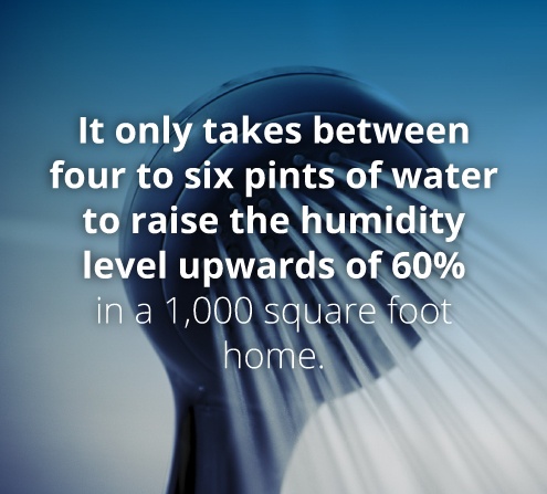 Ways to Reduce Humidity in Your Home